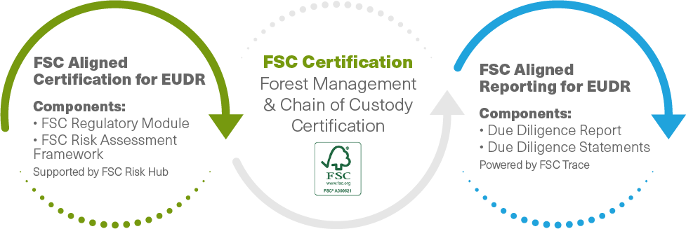 Understanding “FSC Aligned for EUDR”: Leveraging FSC’s New Framework to Reduce Deforestation and ...